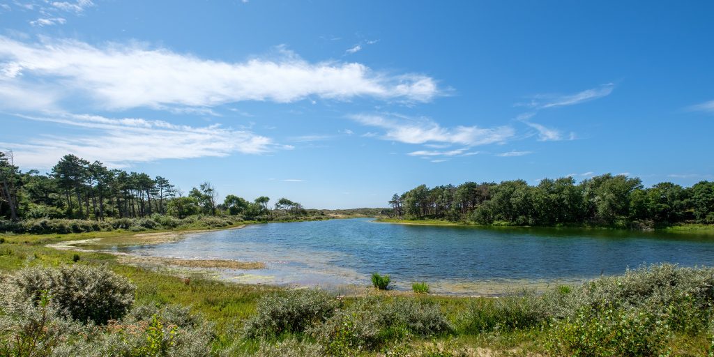 Waterschappen en Vewin: 'Grenzen aan waterbeschikbaarheid' - Bouw en ...